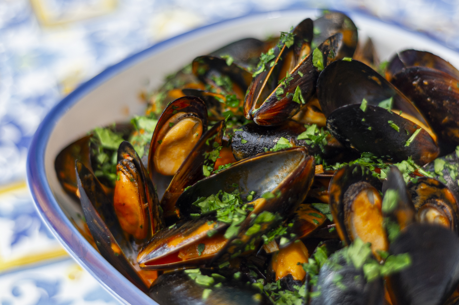 Mussel Garden - Tūrisms